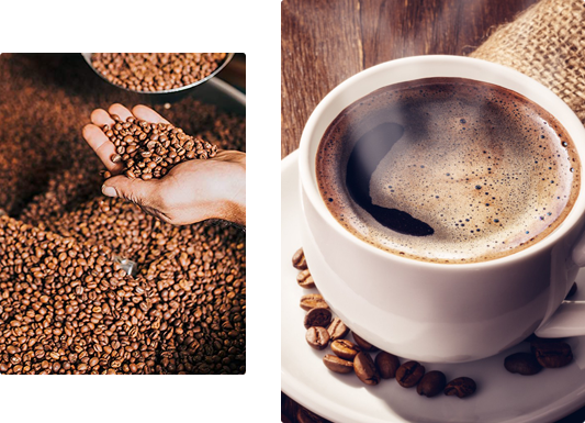 Why Gobez – Gobez Coffee LLC