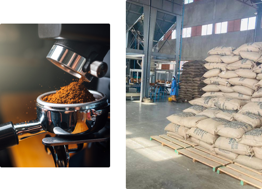 About Us – Gobez Coffee LLC