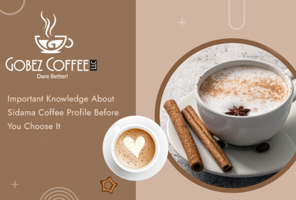 Best Arabica coffee origin in United States | Gobez Coffee #Usa